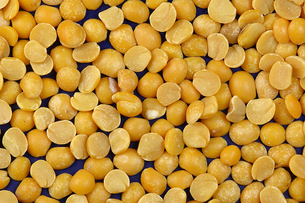 Pea-based Cat Litter