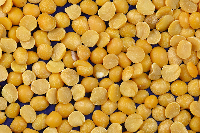 Pea-based Cat Litter